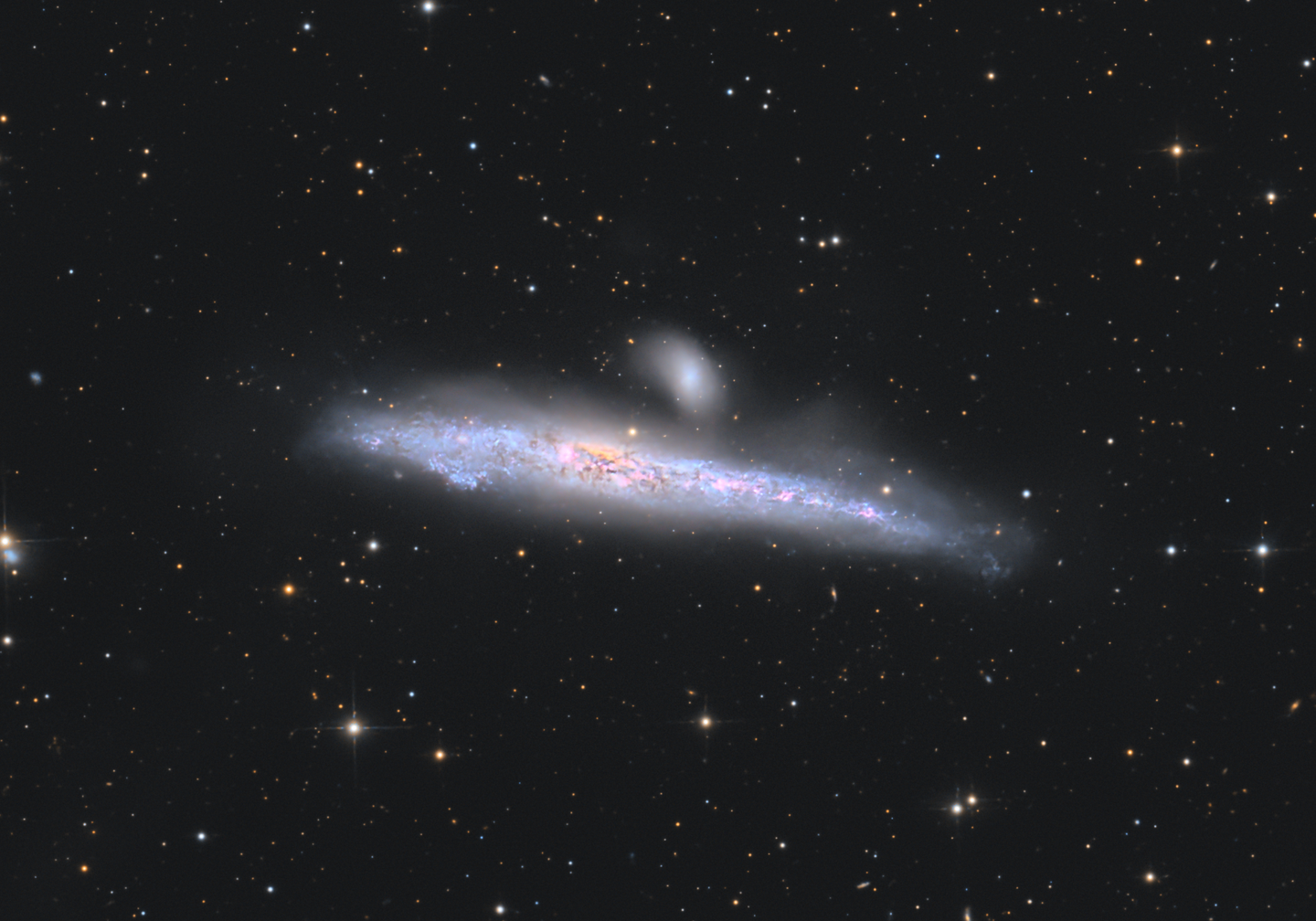 满船清梦压星河（36）—— 游弋的鲸鱼 鲸鱼星系 NGC 4631 - 知乎