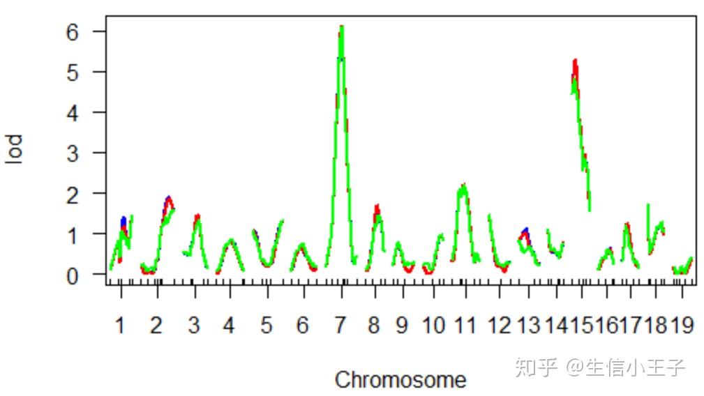 使用R/qtl进行QTL分析 - 知乎