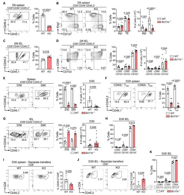 Sci Immunol︱调控肠道驻留CD8+T细胞分化方向的关键转录因子：Bcl11b - 知乎