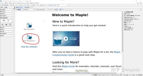 MAPLE笔记-第一弹-Maple字体设置&使用vscode作为编辑器 - 知乎