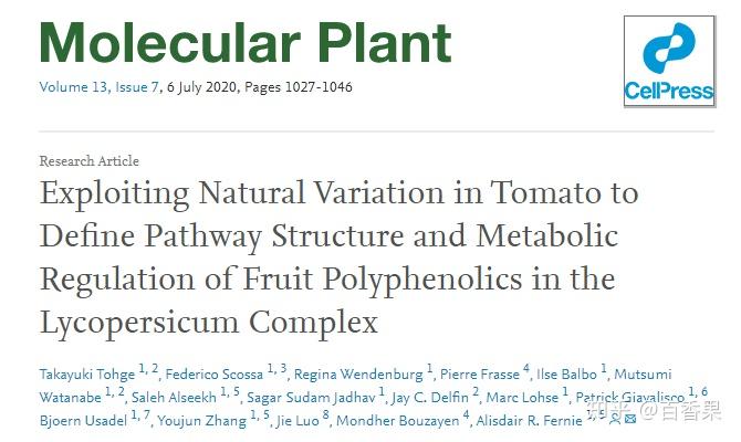 Molecular Plant | 揭示番茄多酚类物质的结构通路及代谢调控 - 知乎
