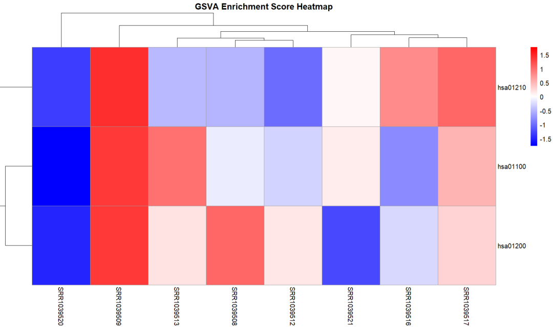 转录组学05｜三类富集方法详解：GSEA、GSVA 与ssGSEA(下) - 知乎