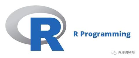 R语言学习-2-Sequences of Numbers - 知乎