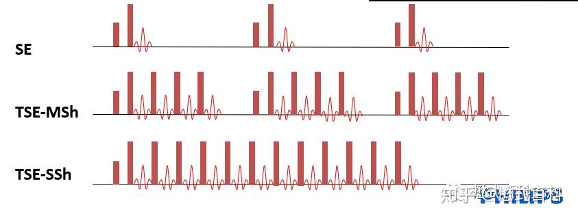 单激发序列 - 知乎