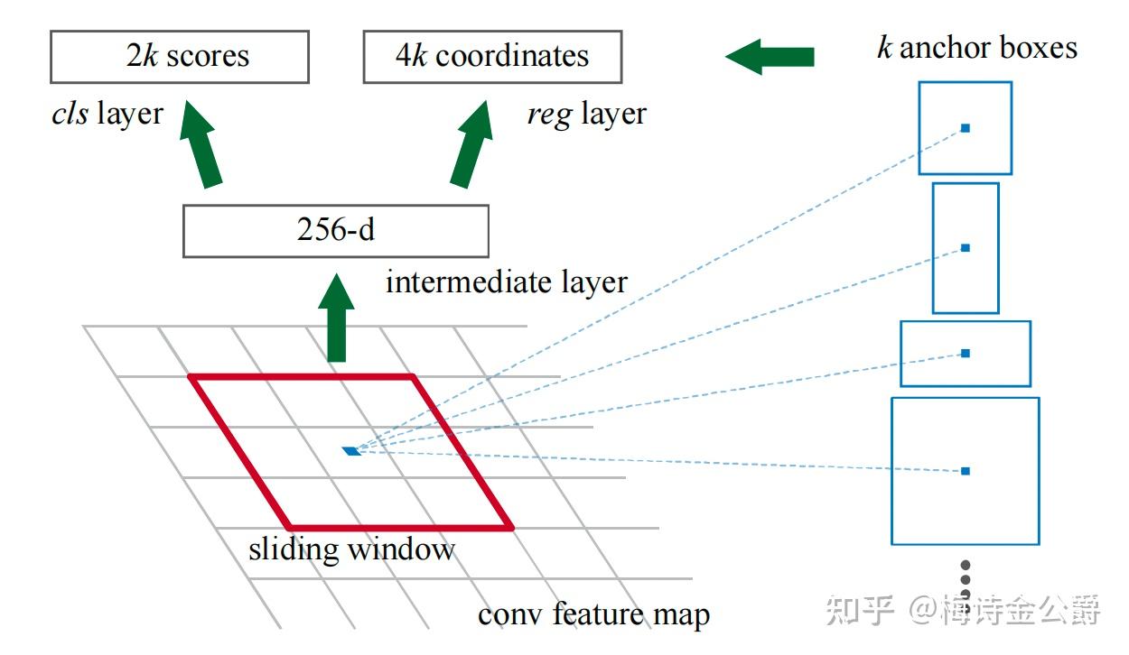 RPN网络解析与实现 - 知乎