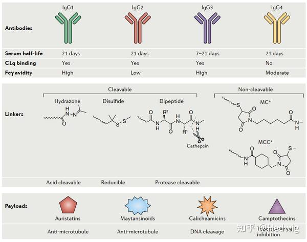 30分钟入门ADC-1：ADC概述 - 知乎