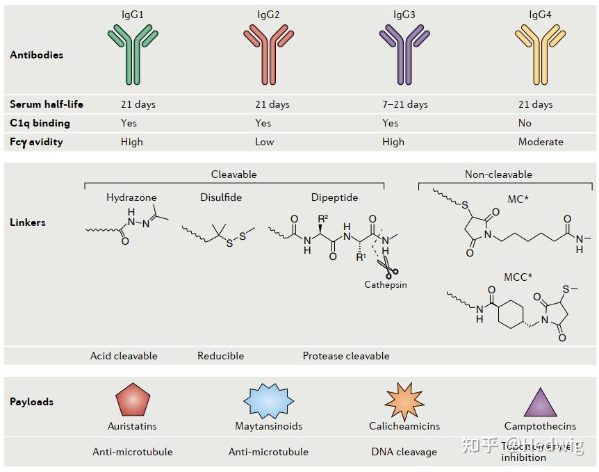 30分钟入门ADC-1：ADC概述 - 知乎
