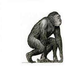 CVPR 2024 | DiffMorpher：实现两张图像间的平滑变形 - 知乎