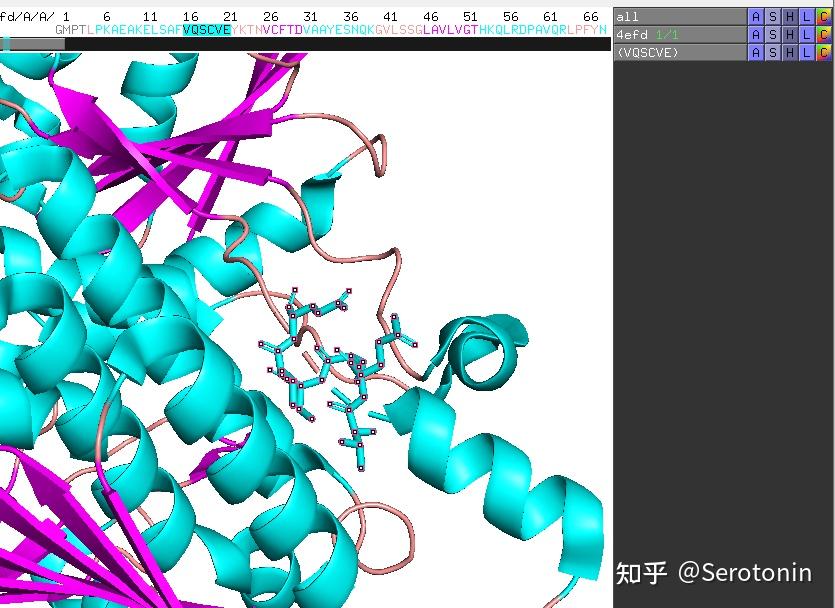 PyMOL小白自留教程3——蛋白质结构的可视化1 - 知乎