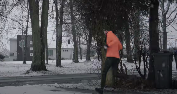 坚持每天跑步30分钟，一年后身体有什么变化？ - 知乎