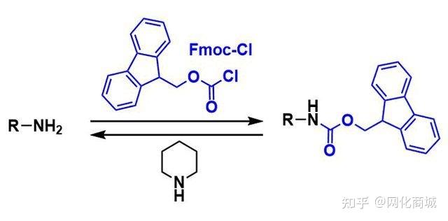 当得“C”位的氨基保护剂——Fmoc-cl - 知乎