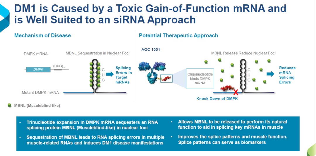 新进展，siRNA疗法首次成功递送进人类肌肉组织 - 知乎