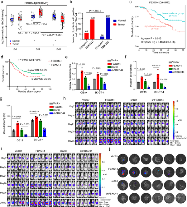 Nat Commun｜多组学揭示食管胃交界处腺癌(AEG)的三种蛋白质组学亚型及潜在的可药物化靶点 - 知乎