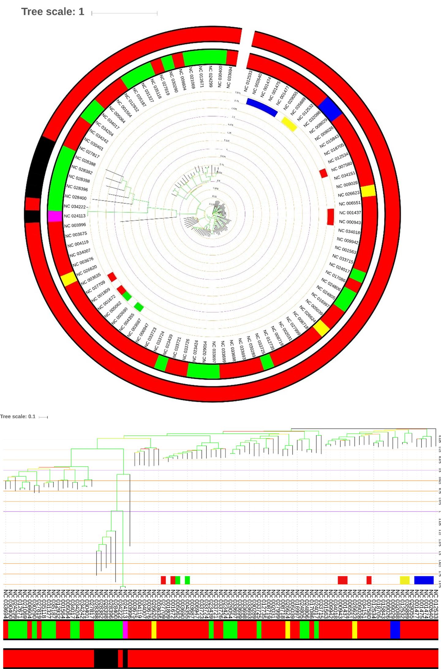 iTOL小技巧之如何加彩条 - 知乎