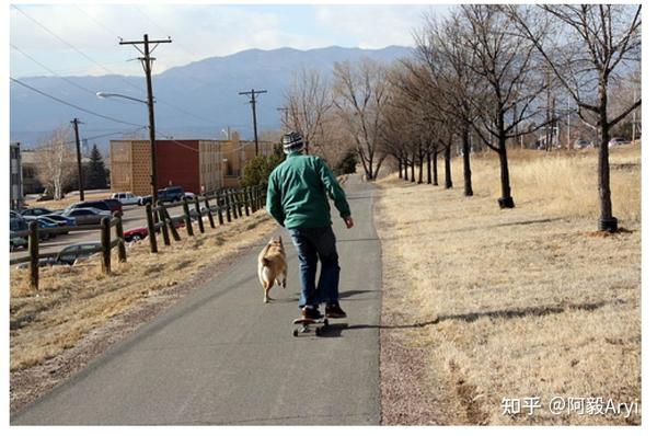 COCO数据集 pycocotools 解析 - 知乎