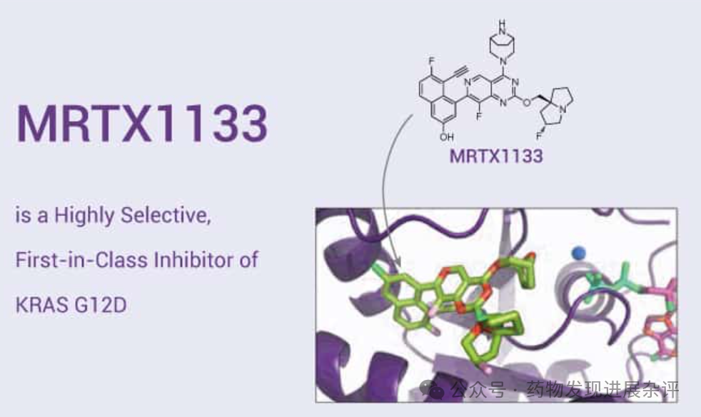 KRAS G12D明星MRTX1133被放弃，先驱成先烈 - 知乎