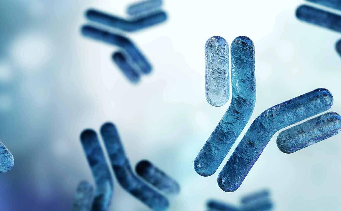 首个靶向GPRC5D！难治性多发性骨髓瘤新药Talvey获FDA加速批准 - 知乎