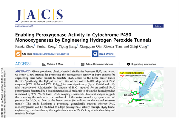 IF: 16.383！中科院丛志奇团队成果——P450过加氧酶的隧道工程新策略在JACS上发表！ - 知乎