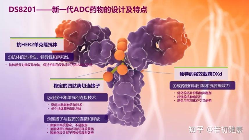 科普 | “神药”DS-8201疗效如何？一文盘点抗HER2治疗药物 - 知乎
