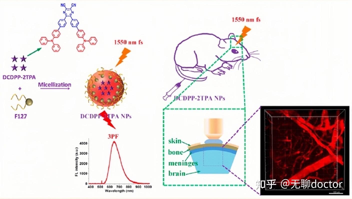 荧光生物探针——研究进展 - 知乎