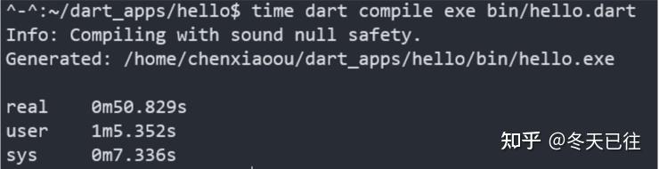 Flutter/Dart在RISC-V上的支持现状 - 知乎
