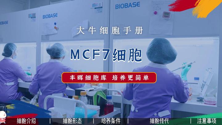 MCF7（MCF-7）细胞培养，人乳腺癌细胞培养攻略 - 知乎