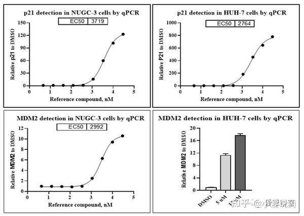 《普创新》之p53及靶向p53 Y220C抑制剂的筛选 - 知乎