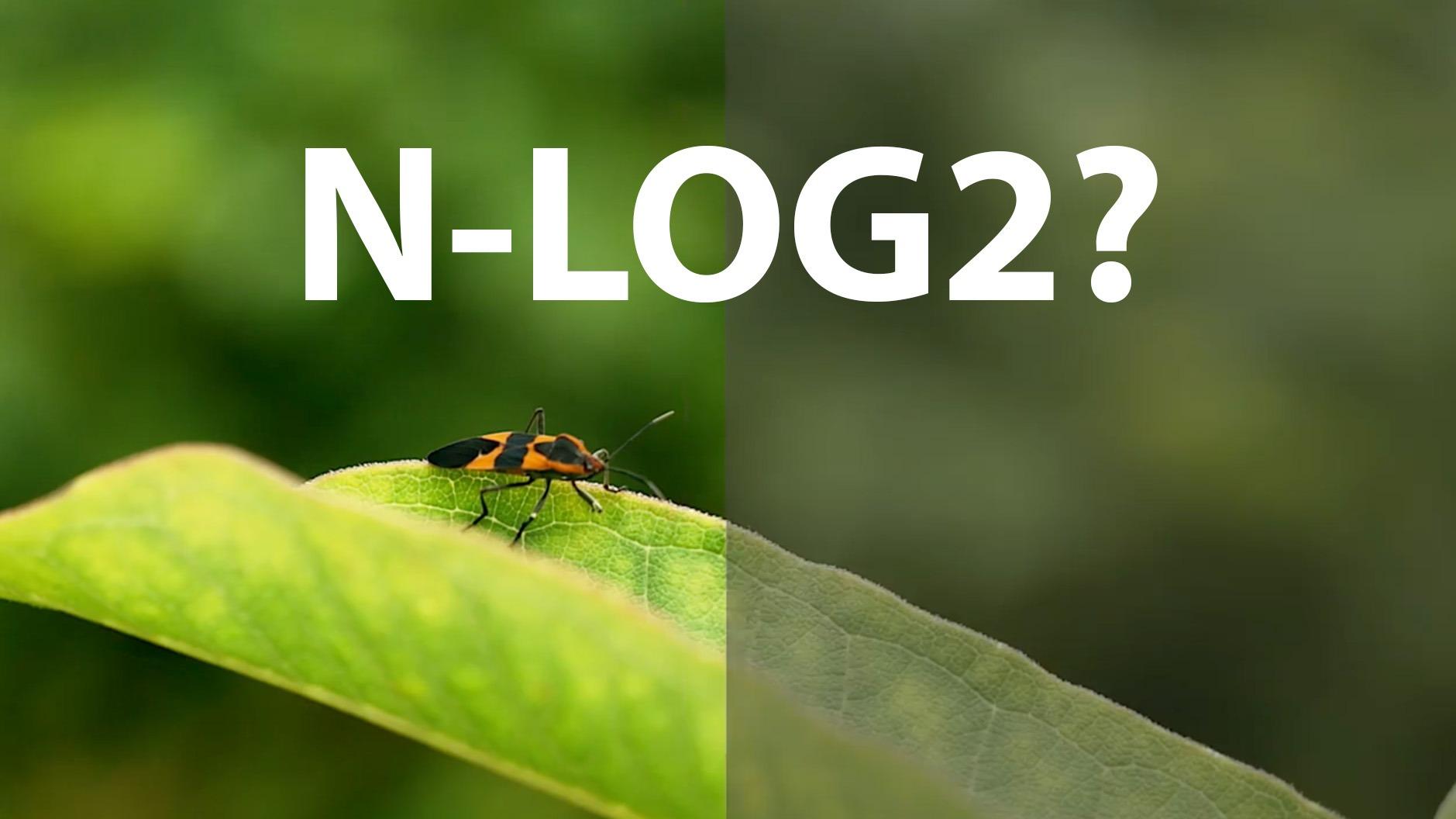 尼康正运用RED技术研发N-log2 - 知乎