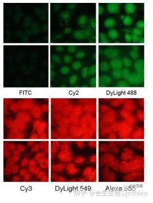 菁染料Cy7|Cy5|Cy5.5|Cy3荧光标记介绍 - 知乎