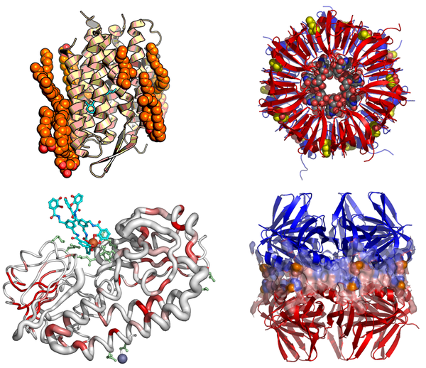 如何用Pymol做出那些美呆的结构图（基础篇） - 知乎