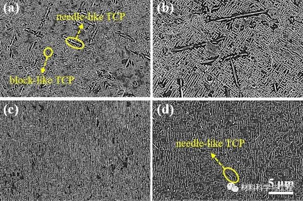 西工大《JMST》：新观点！镍基单晶高温合金的组织稳定性 - 知乎