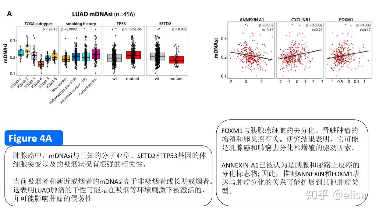TCGA-机器学习识别与肿瘤去分化相关的干细胞特征 - 知乎