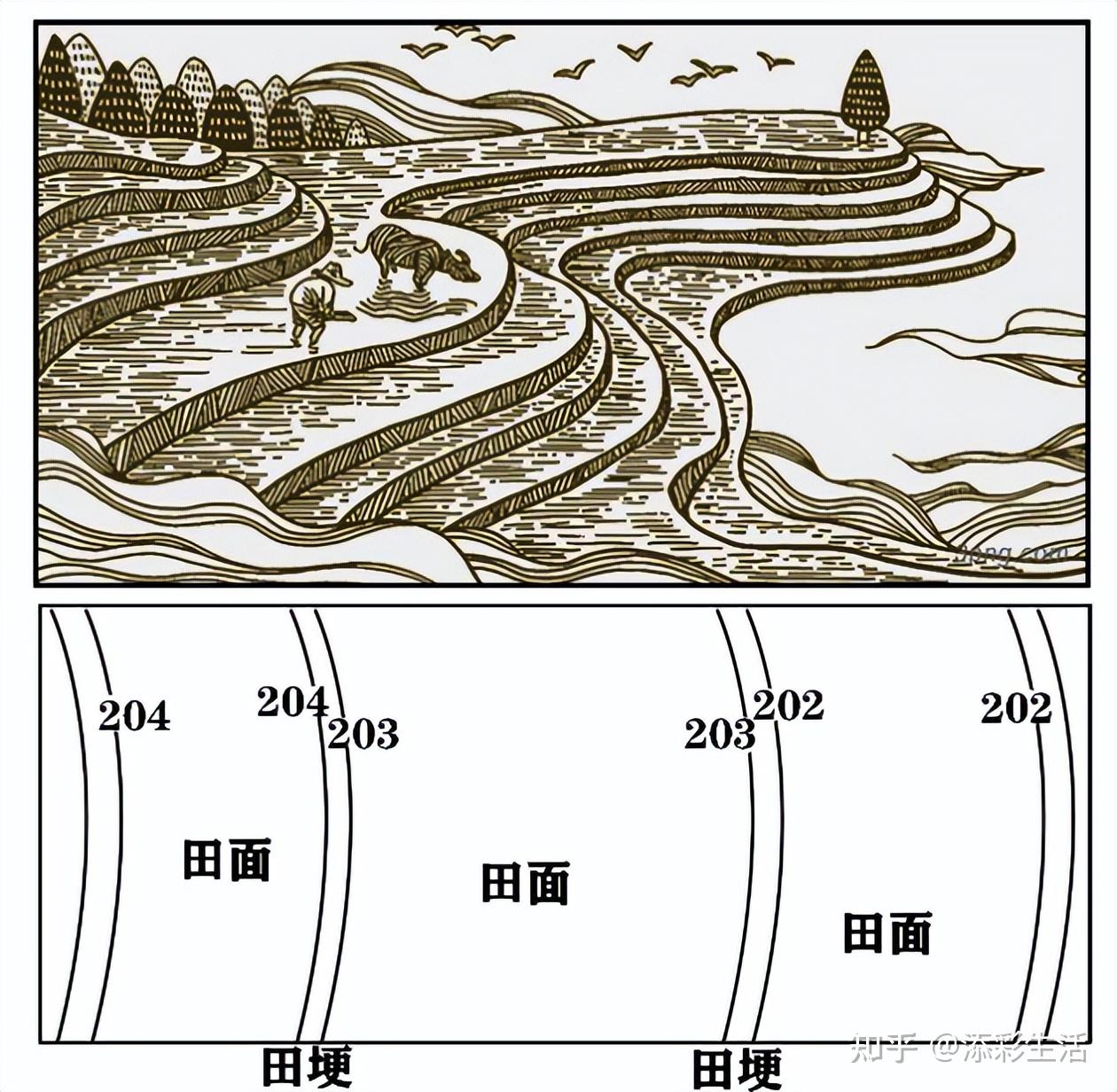 地理知识|什么是等高线地形图？ - 知乎