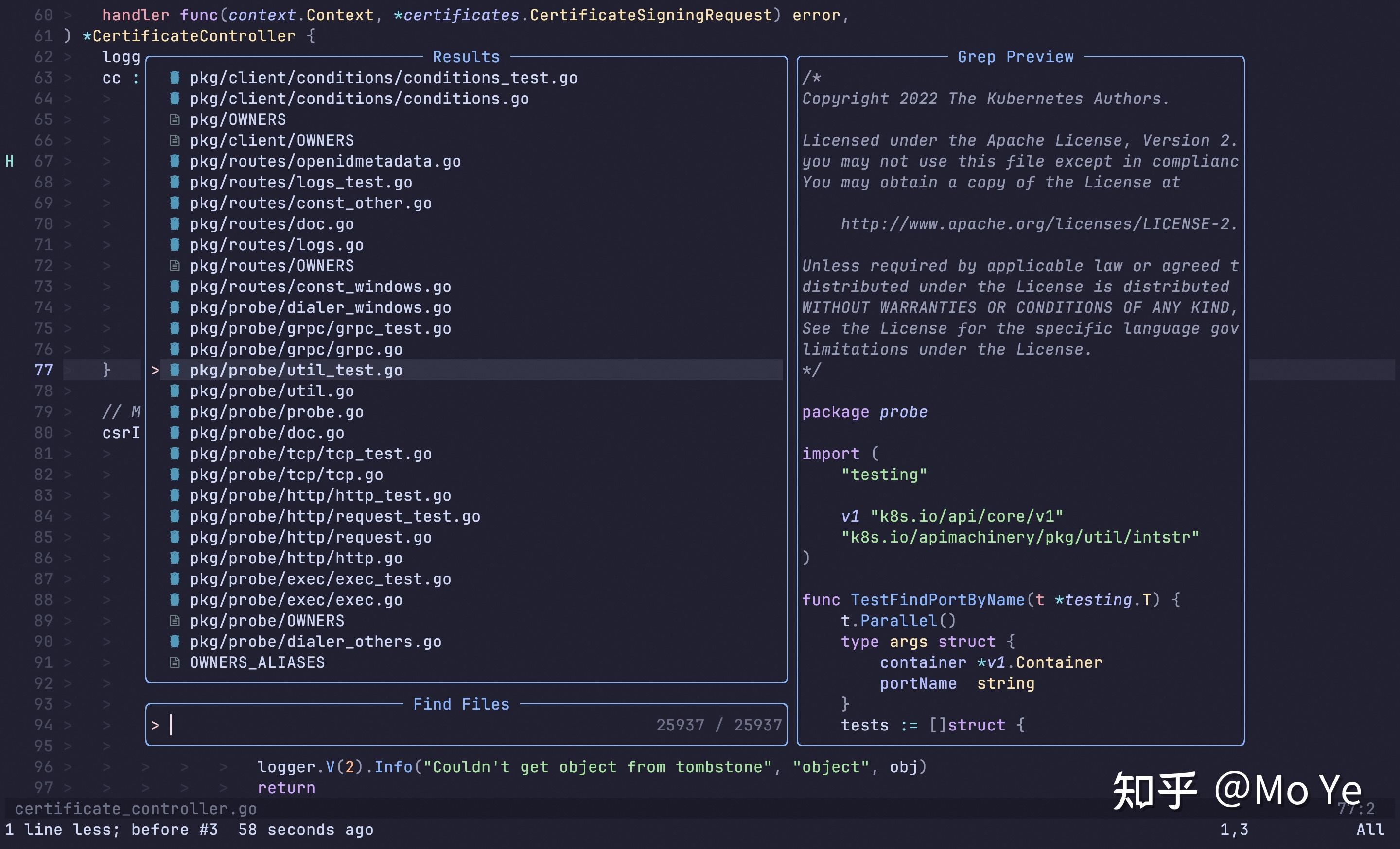 Golang Neovim配置 - 知乎