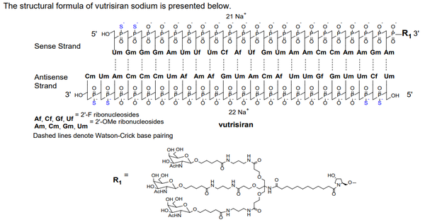 FDA 批准上市的 siRNA 药物非临床药效学研究 —— 复盘与启示 - 知乎