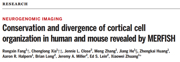 Science | MERFISH揭示人和小鼠大脑皮层细胞的保守性和差异性 - 知乎
