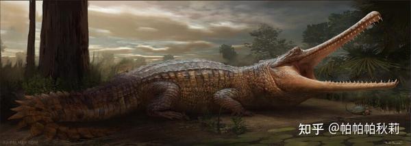 地狱溪组物种简介（不全龙族篇） - 知乎