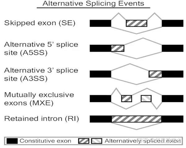 转录组测序技术和结果解读（十六）——可变剪切 - 知乎