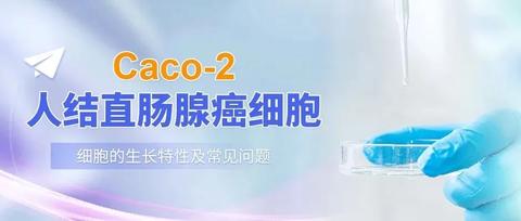 细胞学堂|Caco-2人结直肠腺癌细胞的生长特性及常见问题 - 知乎
