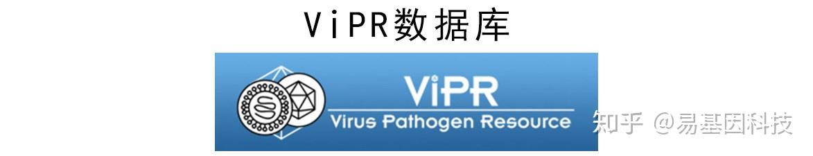 常见的病毒数据库 - 知乎