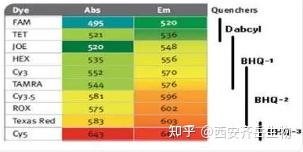 齐岳BSA-Cy3 Cy5 Cy5.5 FITC荧光标记牛血清白蛋白 - 知乎