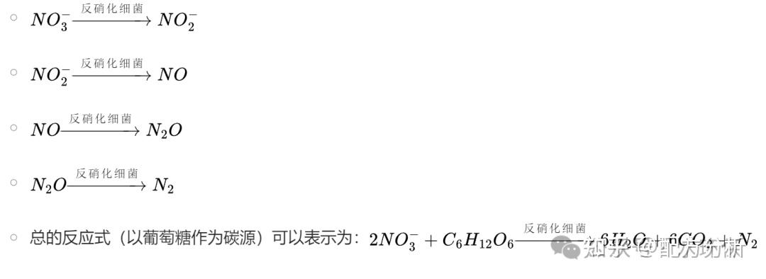 【解析】读懂硝化、反硝化及工艺 - 知乎