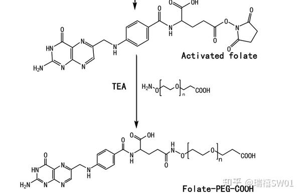 COOH-PEG5K-Amine,NH2-PEG-COOH,叶酸靶向的量子点荧光探针的制备过程 - 知乎