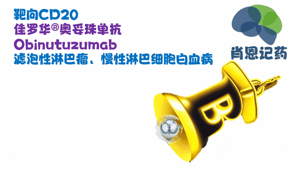 记住所有FDA生物药 | 靶向CD20 | 佳罗华®奥妥珠单抗 | 滤泡性淋巴瘤FL、慢性淋巴细胞白血病CLL - 知乎