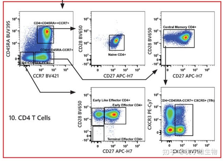【光谱系列3】40色全光谱流式用于人外周血中主要细胞亚群的深度免疫表型 - 知乎