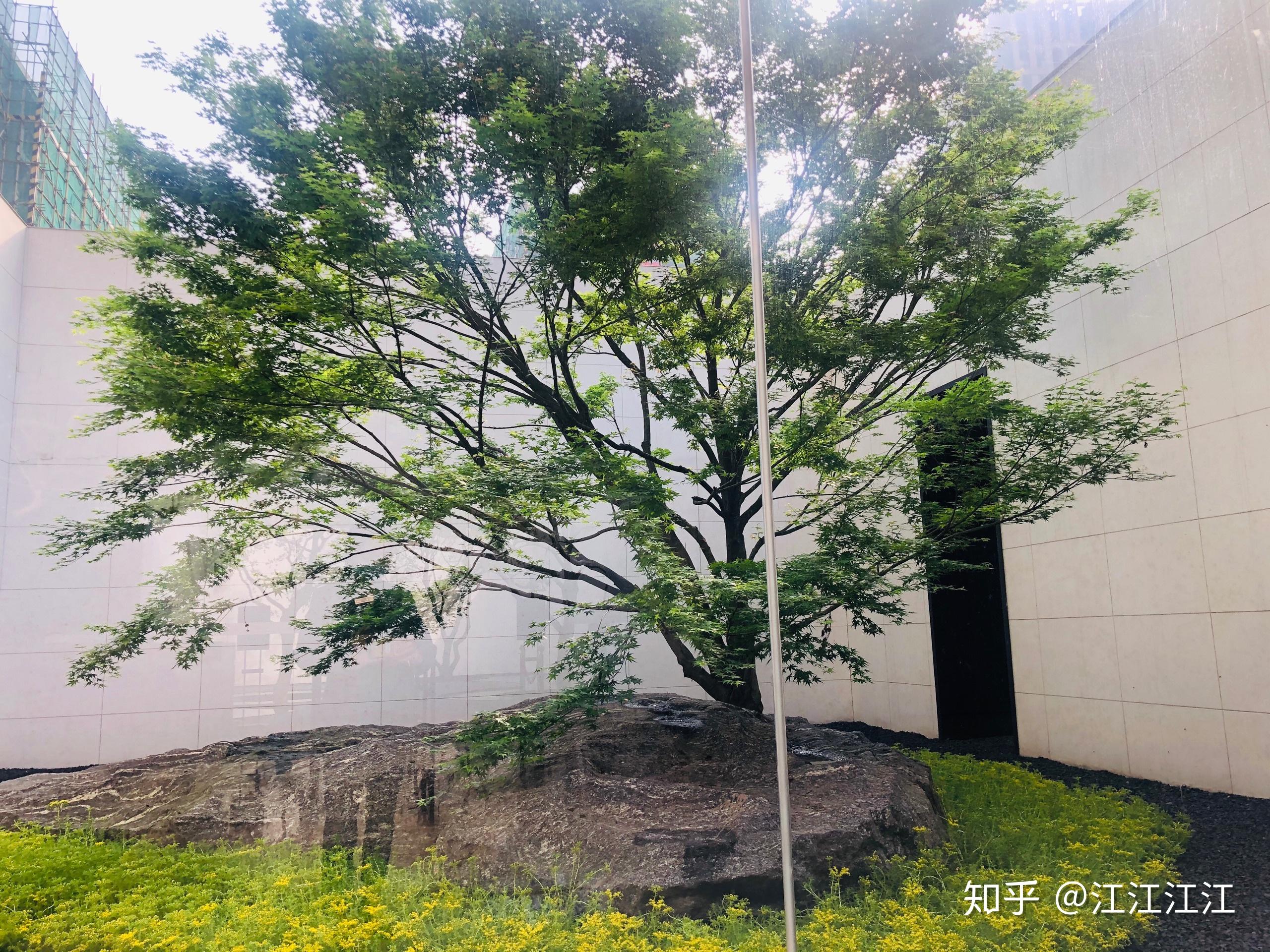 元气满满的一天又开始了 知乎