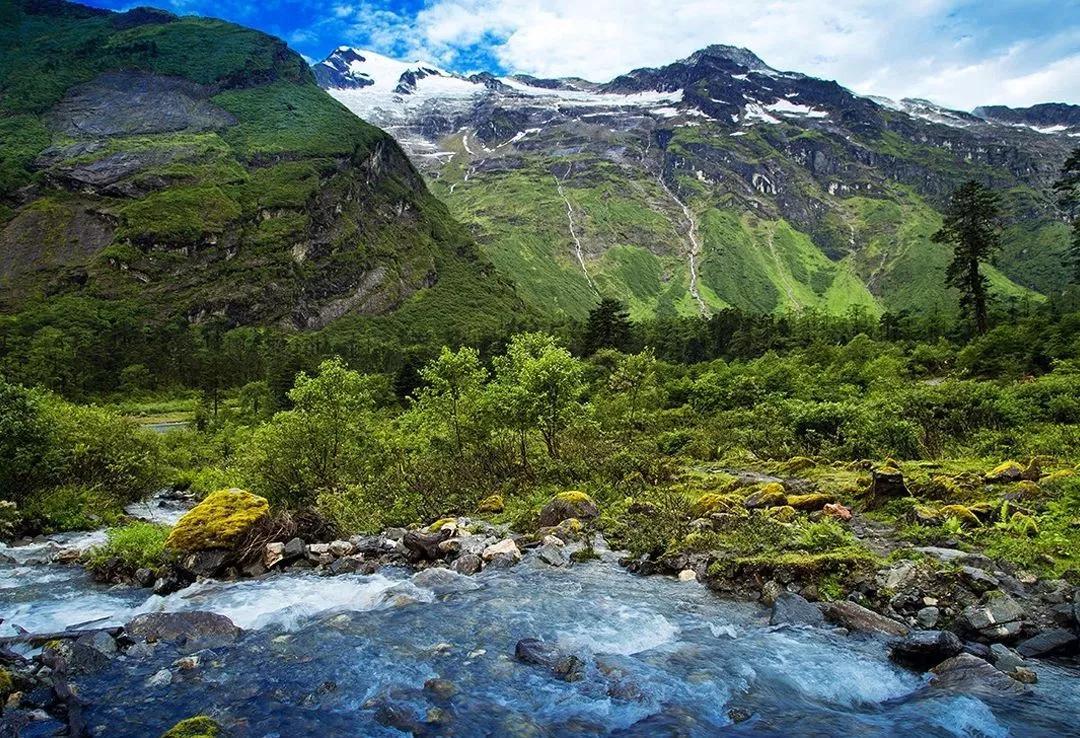 墨脱最全攻略——走进中国最后一个通公路的莲花秘境 - 知乎