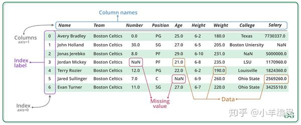 基础干货：Pandas-Data Frame基础知识点总结 - 知乎