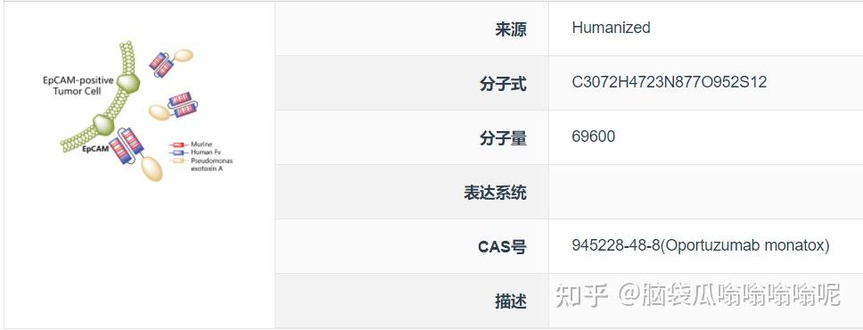 EpCAM靶点调研 - 知乎