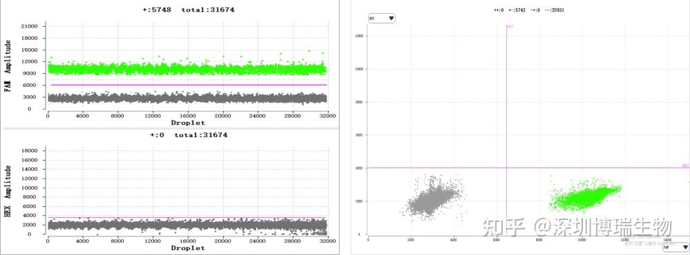 Biorain博瑞生物丨关注SMA，让爱不罕见 - 知乎